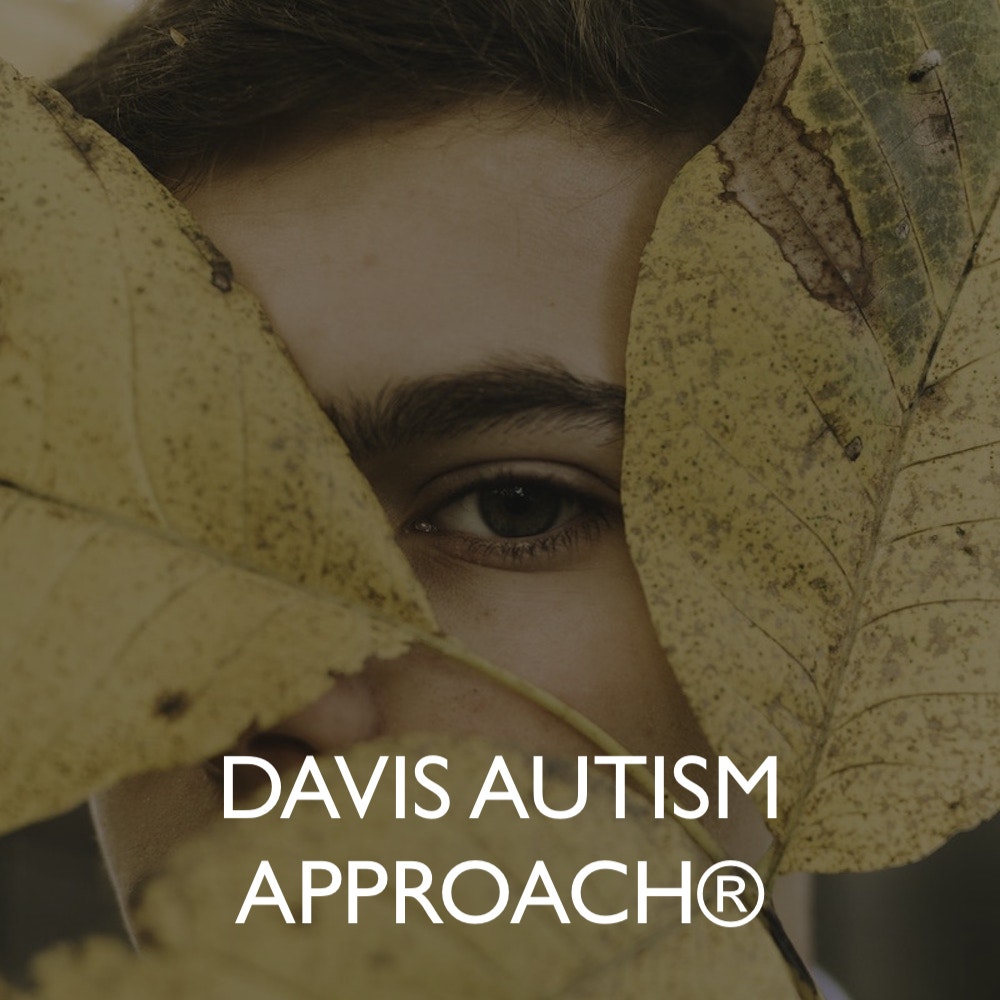 Davis Autism Approach® - LHDCC